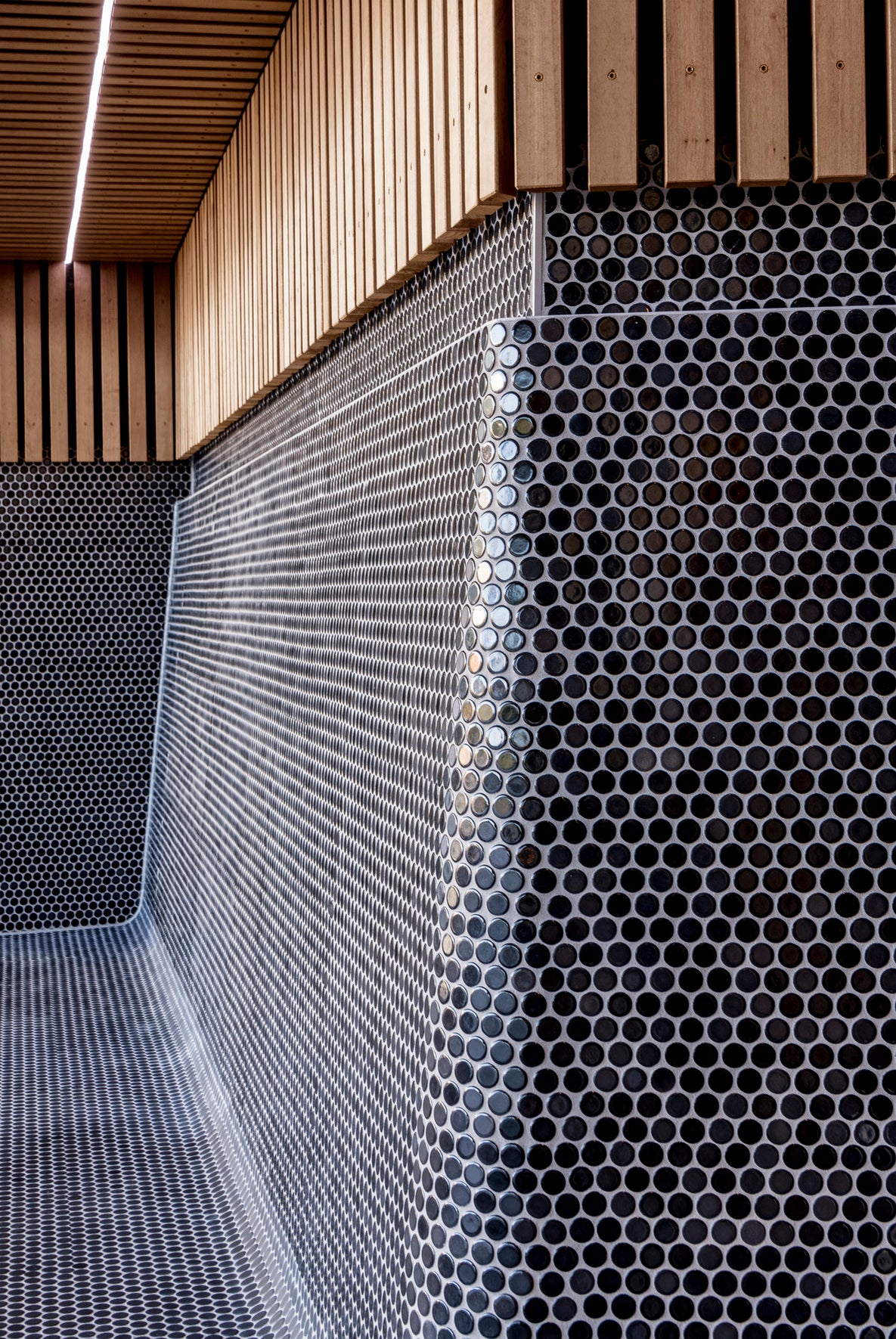 PopDotz Porcelain Tile | Anise Gloss | Black | Modwalls Modern Tile | 1 ...