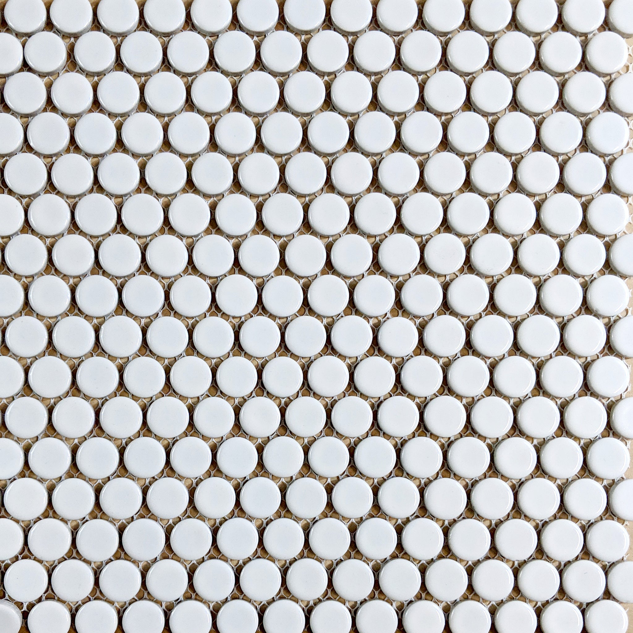 ModDotz Porcelain Penny Round Tile | Modwalls Modern Tile