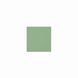 Peppermint Matte Sample Color Chip for Basis Wall Tile Collection ...